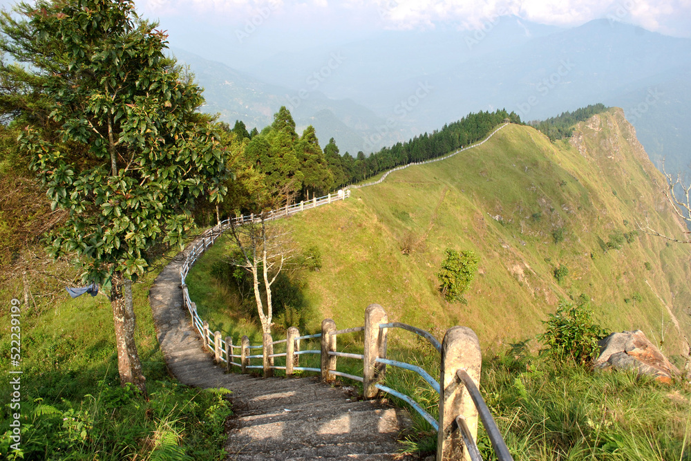 Titanic shaped green hill with pine trees & long stairs at Tarey Bhir ...