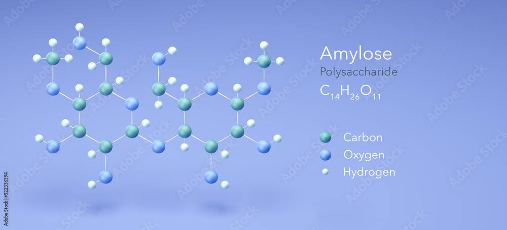 amylose, polysaccharide. molecular structures, 3d rendering, Structural ...