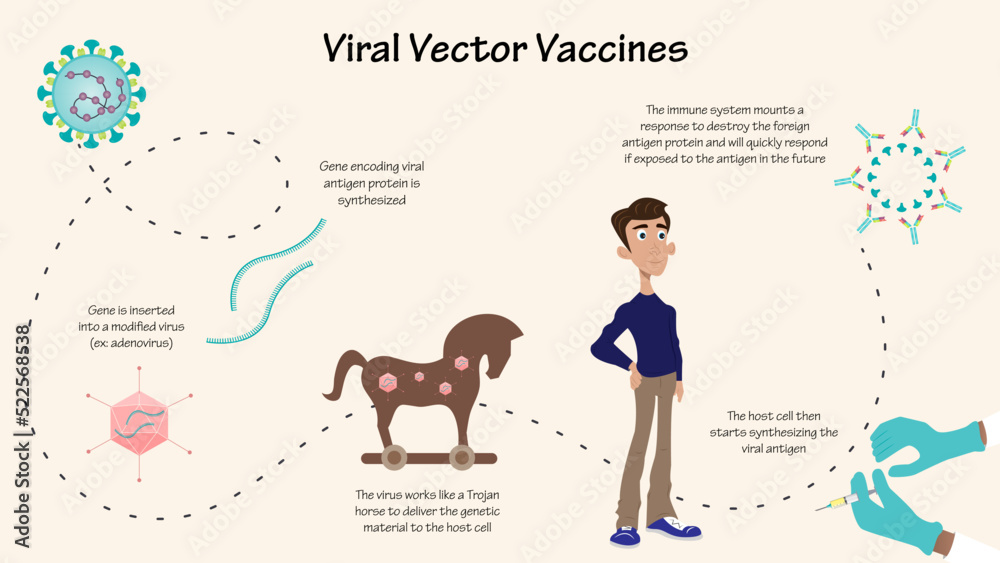 Viral Vector Vaccine Infographic Stock Vector | Adobe Stock
