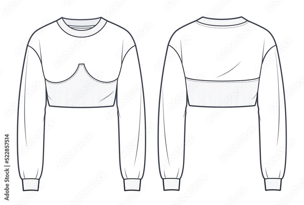 Women's Crop Sweatshirt fashion tehnical drawing template. Sweatshirt ...
