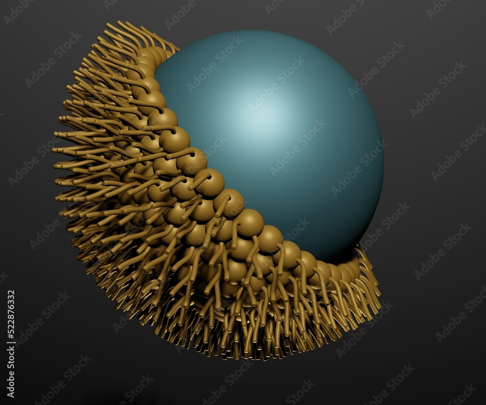 A reverse micelle is a micelle in which the nonpolar and polar phases ...