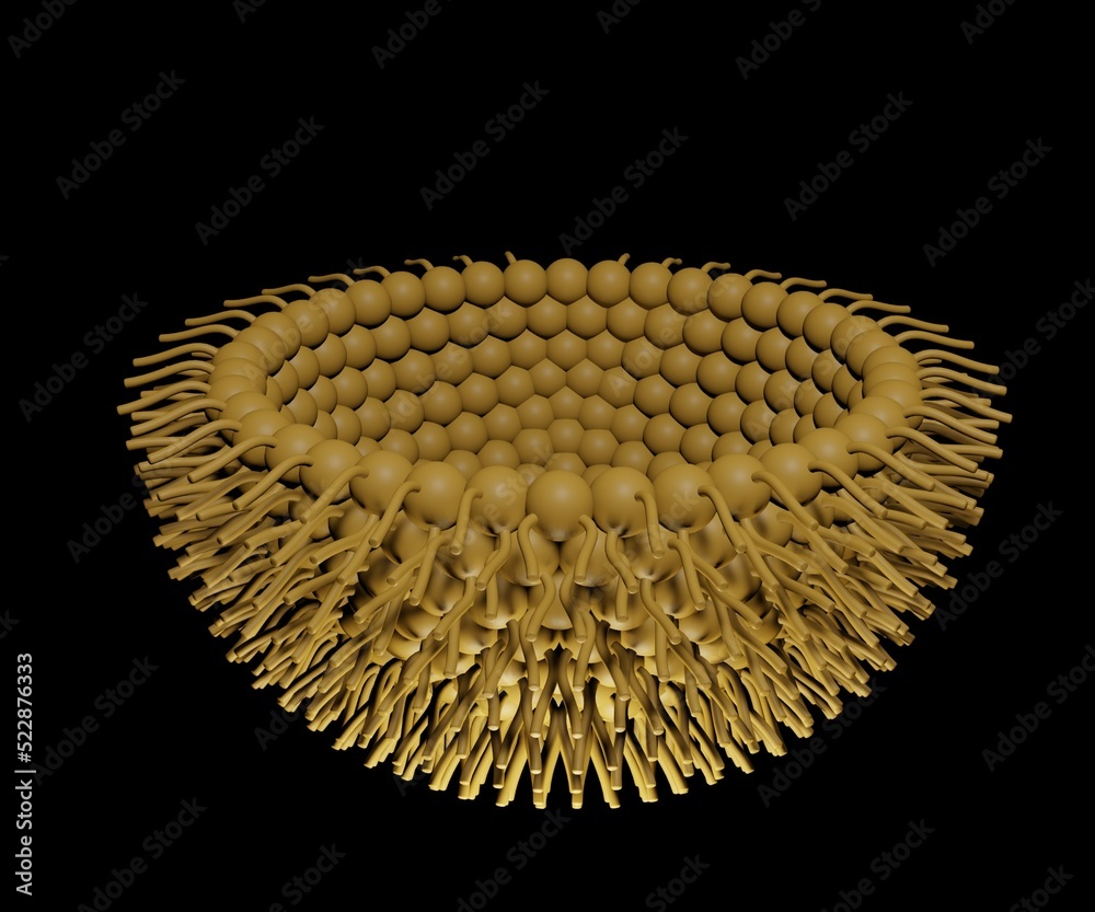 A reverse micelle is a micelle in which the nonpolar and polar phases ...