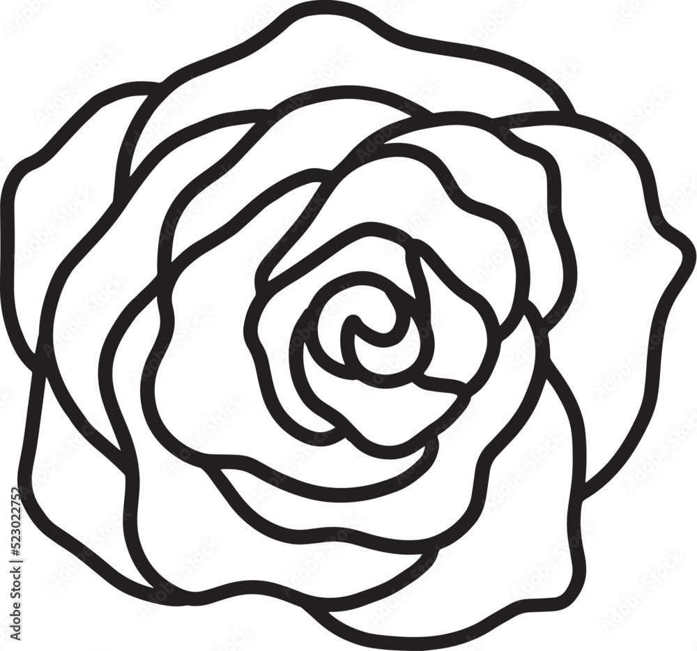 rose illustration line drawing Stock Vector | Adobe Stock