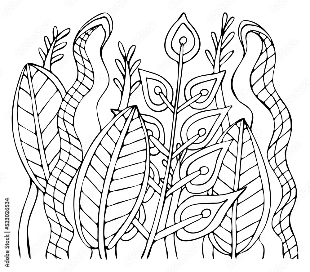 Coloring book foliage. Plant grass leaves. Hand drawn vector line art ...