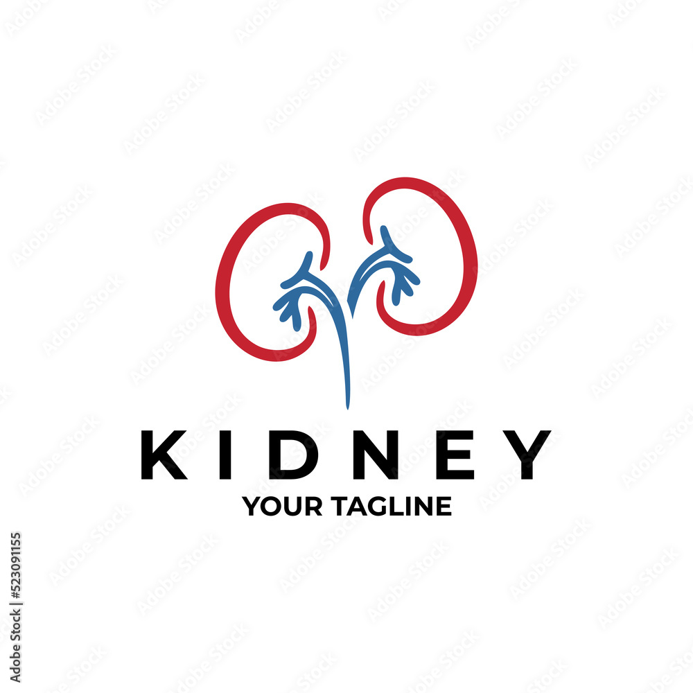 kidney logo vector design template Stock Vector | Adobe Stock