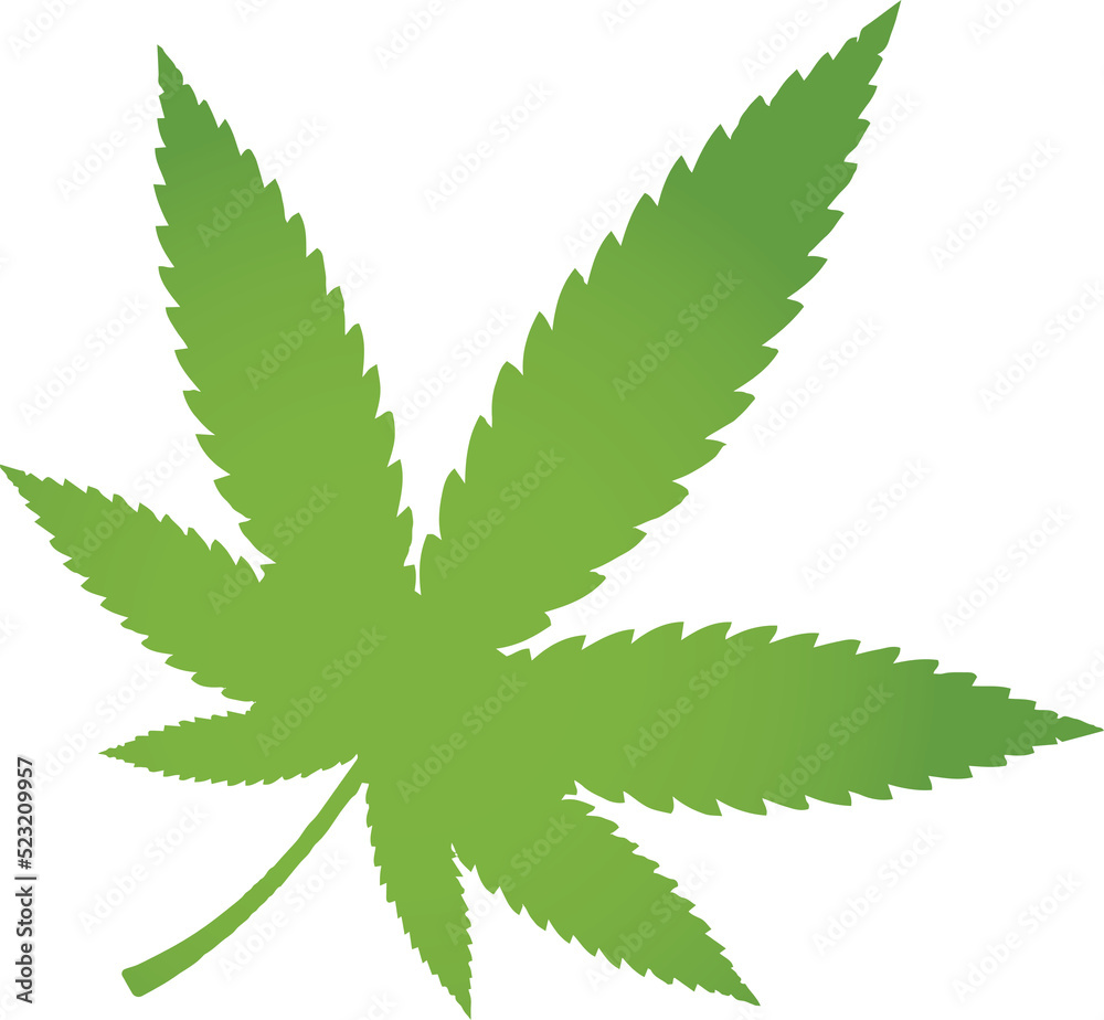 Cannabis leaf PNG Clipart With Transparent Background for decoration of ...