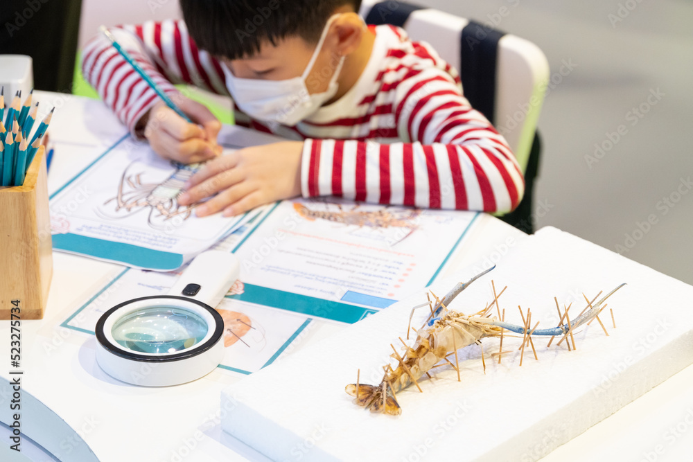 Smart Asian elementary student boy learn and write his study about ...