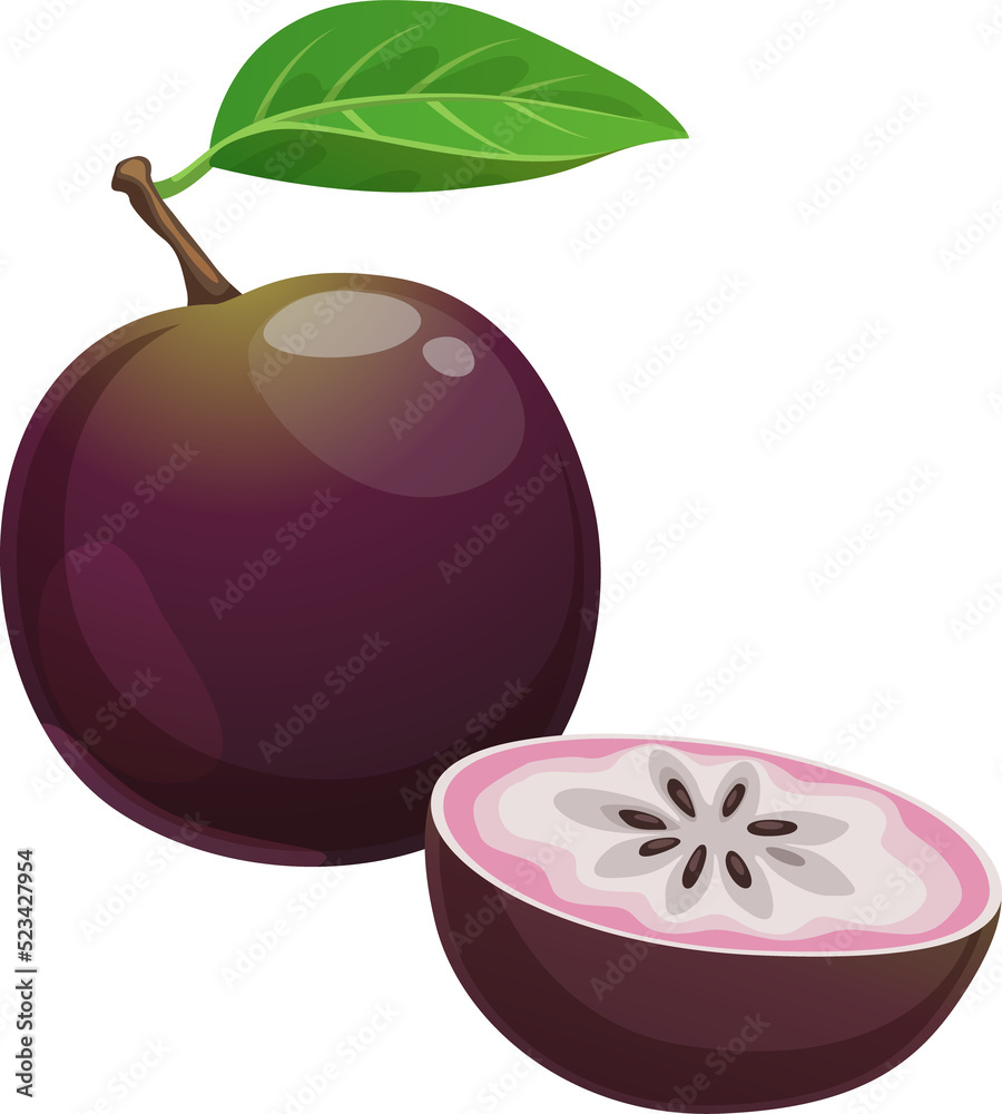 Canito caimito star apple fruit whole, cut fruit Stock Illustration ...