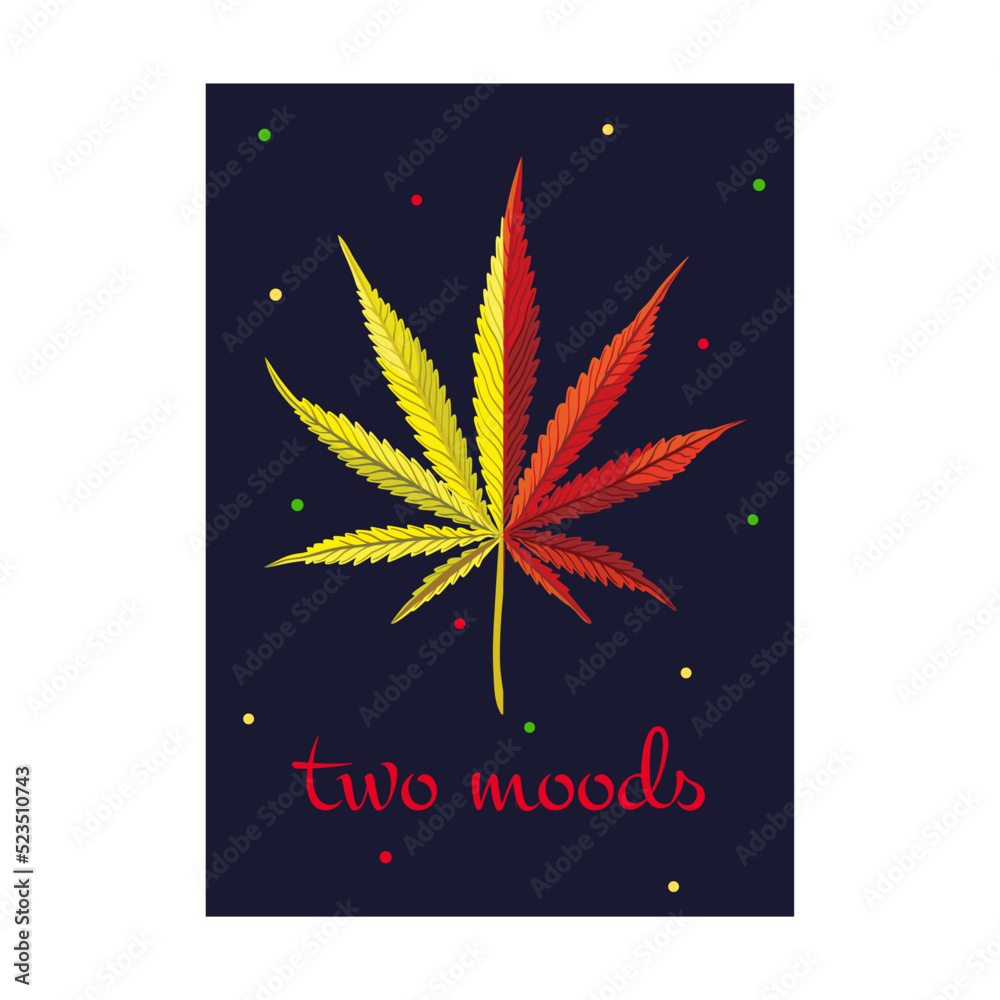 Design with cannabis bush and leaves. Colored marijuana poster on dark ...