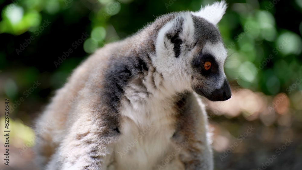 I took a picture and it was beautiful. A nature guide shares the best ...