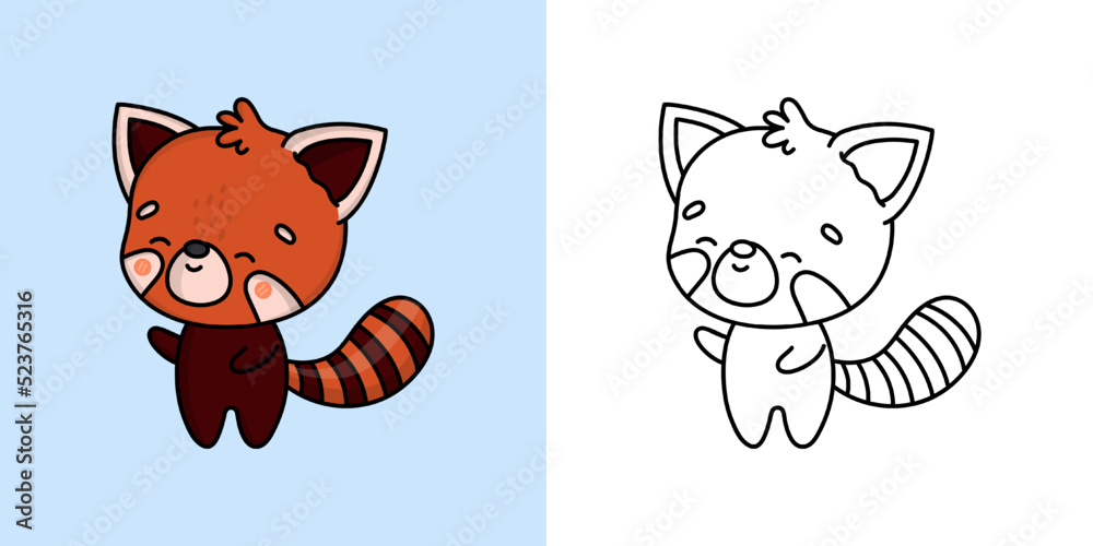 Set Clipart Red Panda Coloring Page and Colored Illustration. Clip Art ...