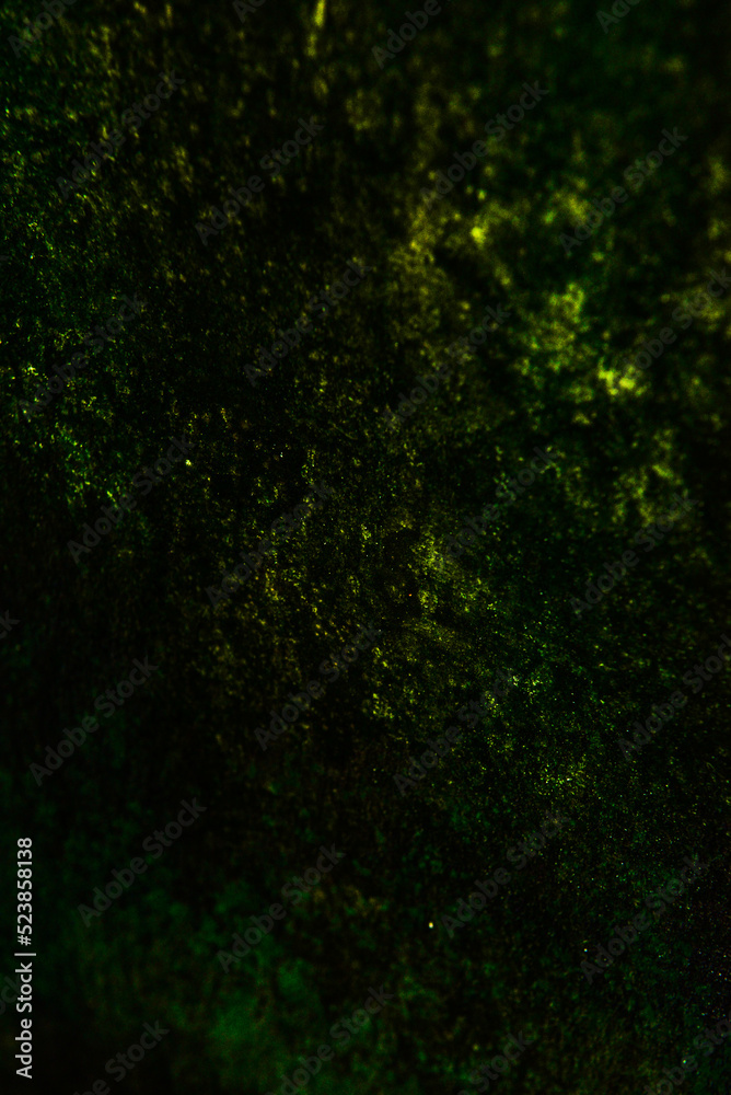 dark wall background with green moss, wallpaper, wall with dark foliage ...