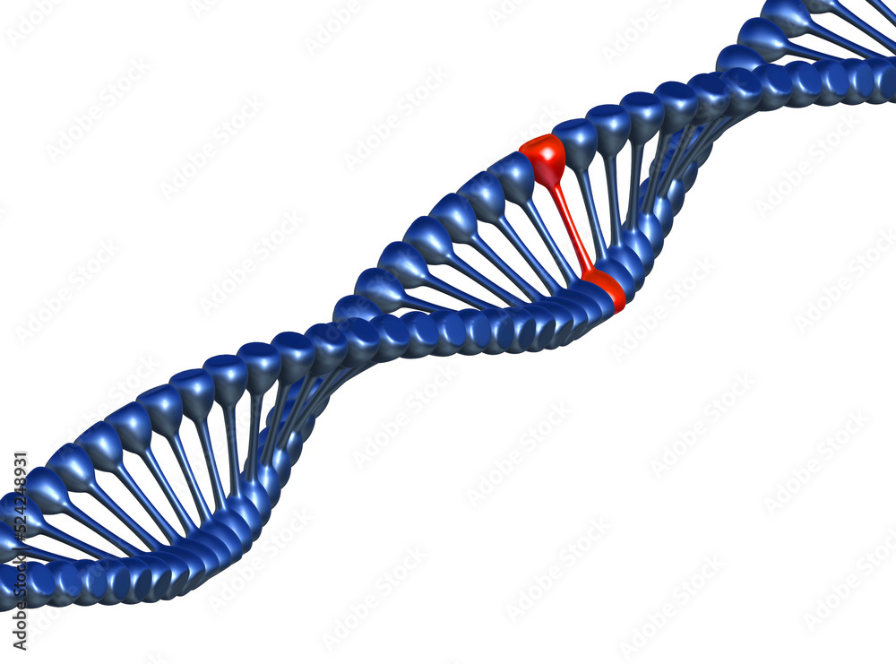 Transgenic Human DNA by Genetically Modified Organisms, PNG Transparent ...