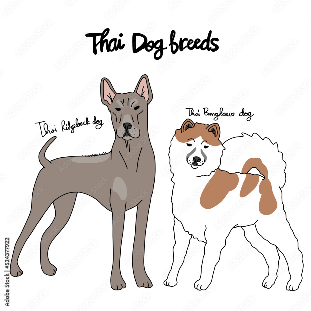 Thai dog breed cartoon chart vector illustration Stock Vector | Adobe Stock