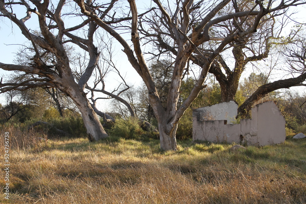 A photo of abandoned houses, churches, monasteries, ruins, walls of ...
