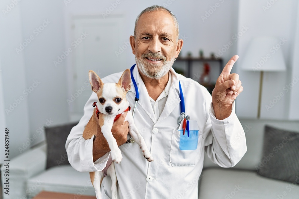 Mature veterinarian man checking dog health smiling happy pointing with ...
