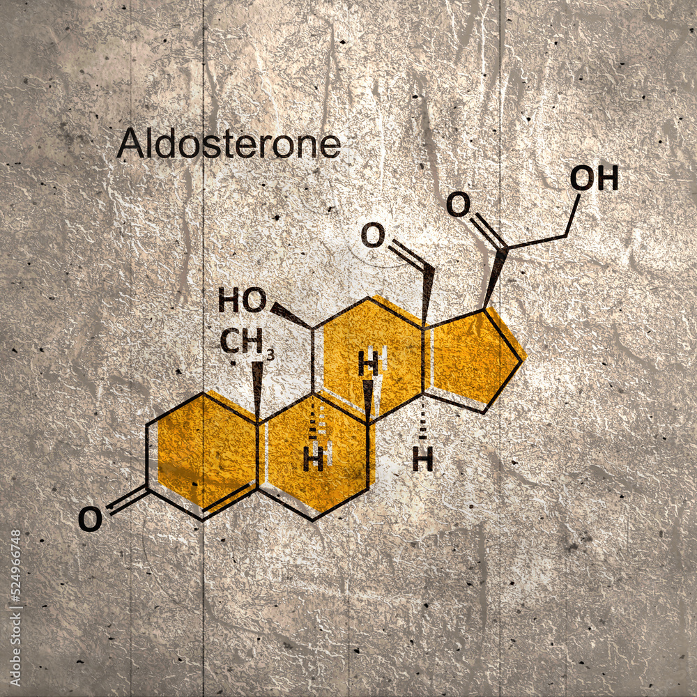 Aldosterone mineralocorticoid hormone, produced by the adrenal gland ...