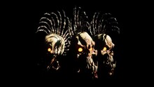 Human Skulls On A Spike Free Stock Photo - Public Domain Pictures