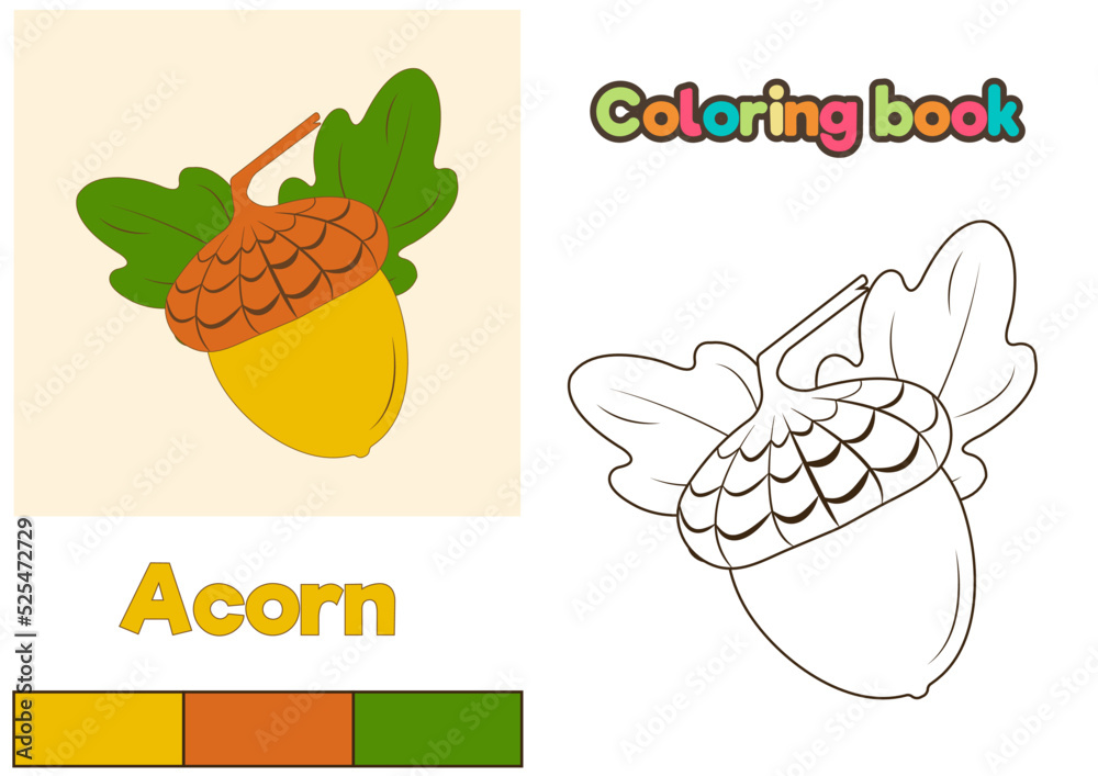 Acorn Coloring Book. Vector illustration of the outline of an acorn and ...