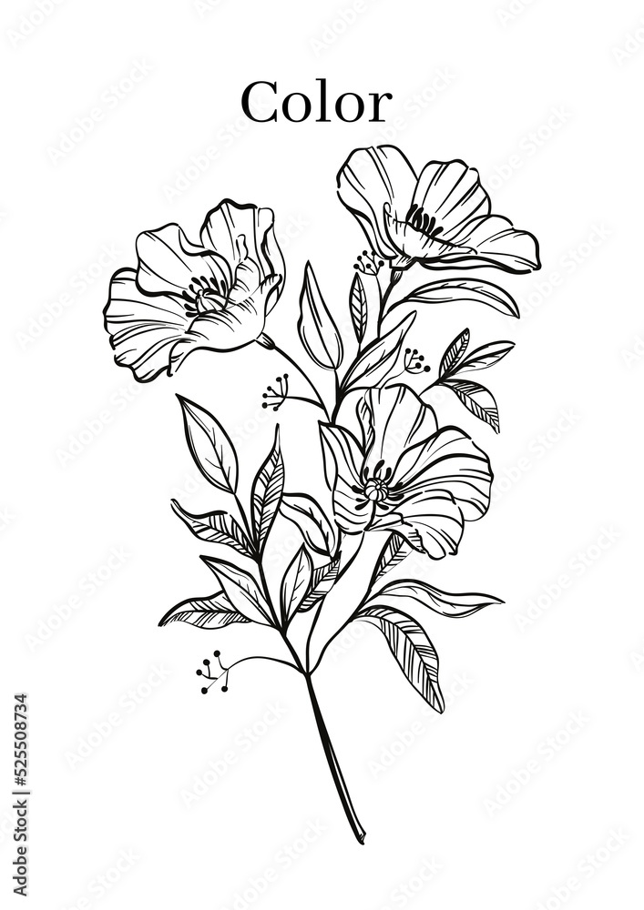 High Resolution Printable Colouring Worksheets for Kindergarten and ...