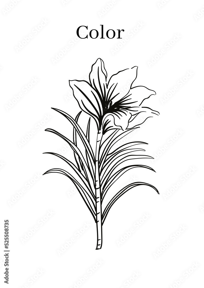 High Resolution Printable Colouring Worksheets for Kindergarten and ...