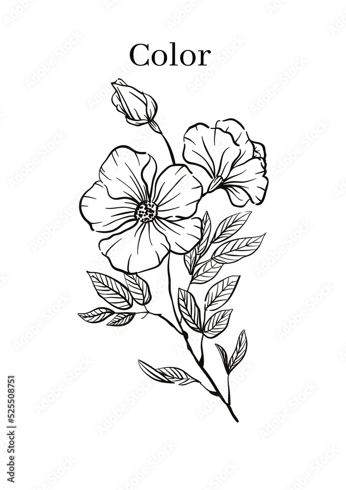 High Resolution Printable Colouring Worksheets for Kindergarten and ...