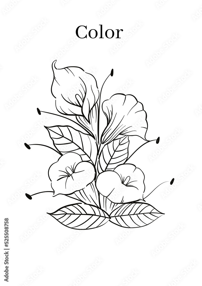 High Resolution Printable Colouring Worksheets for Kindergarten and ...