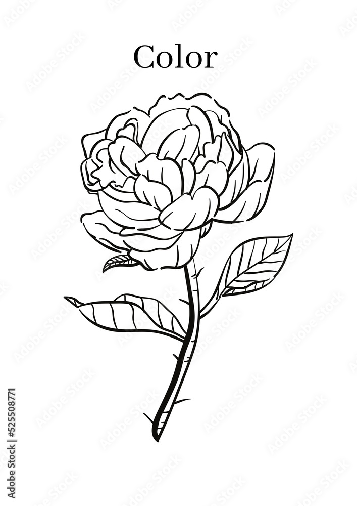 High Resolution Printable Colouring Worksheets for Kindergarten and ...