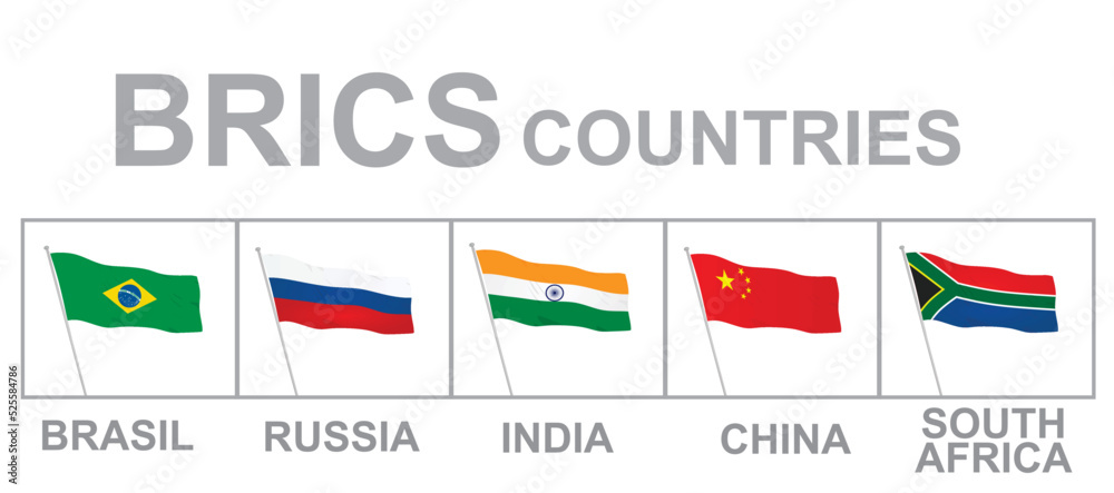 BRICS countries flags. vector illustration Stock Vector | Adobe Stock