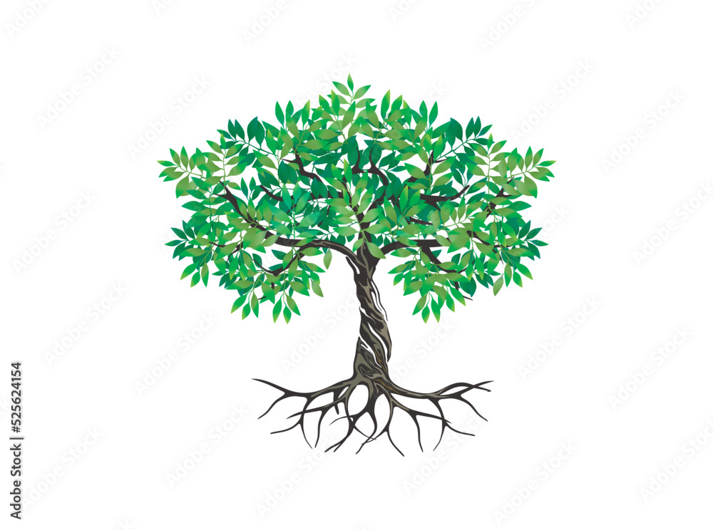 mangrove tree and roots vector illustrations. printable files Stock ...