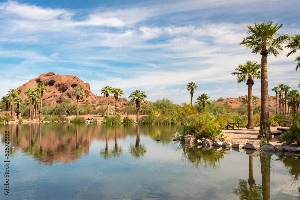 Palm trees water reflection oasis and mountains in the desert at Papago ...