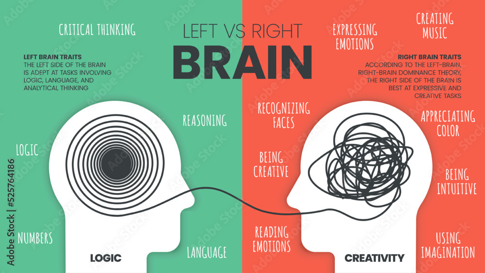 Left Brain vs. Right Brain Dominance infographic template. How the ...