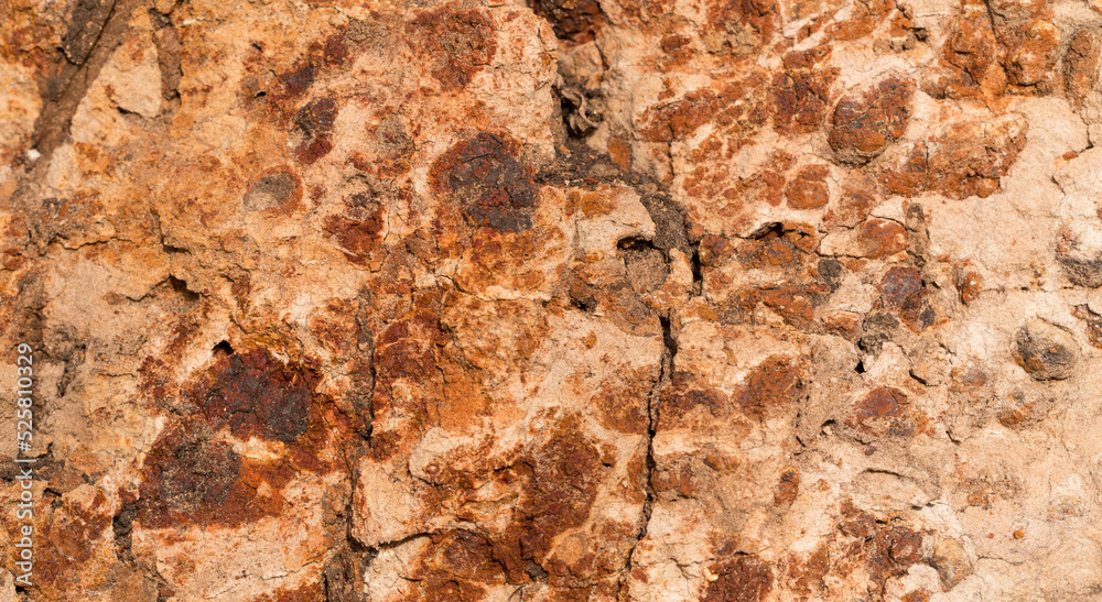 Sedimentary rocks with a high content of iron oxide. Red soil, loam ...