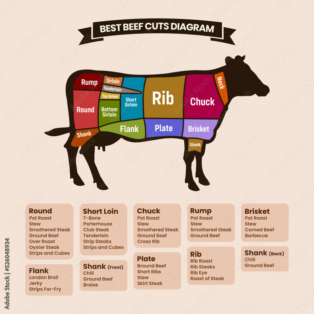 Beef Cuts Diagram With American Cuts Of Beef Meat Vector Illustration Stock Vector | Adobe Stock