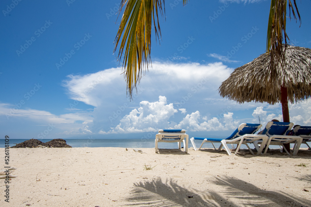 Caribbean beach with fine white sand, clear sea and coconut trees ...