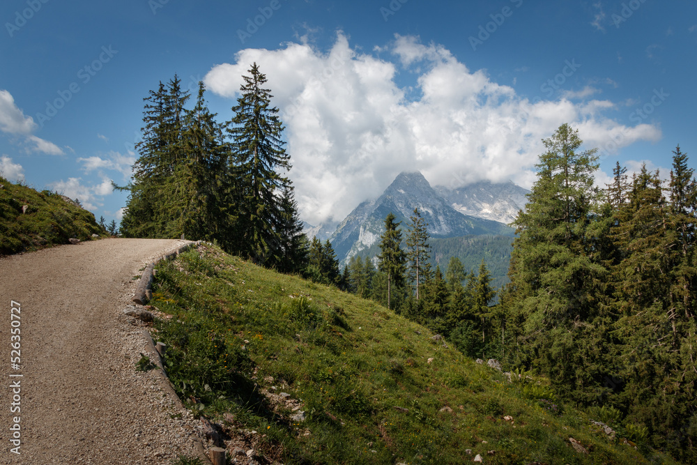 Wanderweg Königsbachweg, Hochbahnweg am Jenner mit Blick zum ...