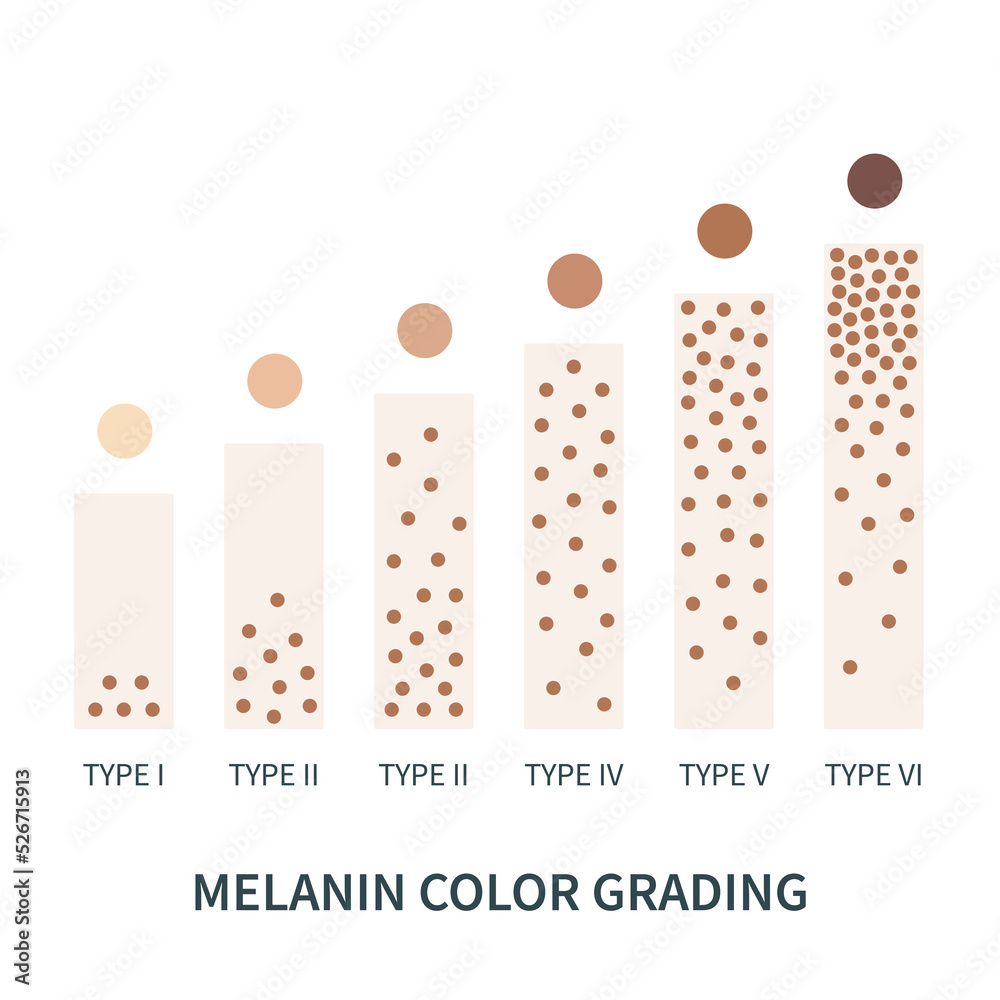 Stock-Vektorgrafik „Melanin color palette scheme from light to dark ...