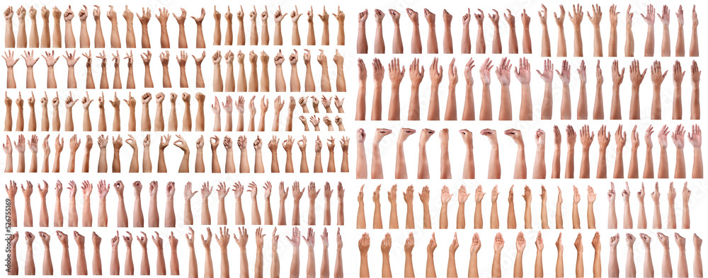 SUPER SET of Male asian hand gestures isolated over the white background. Grab with five fingers ...