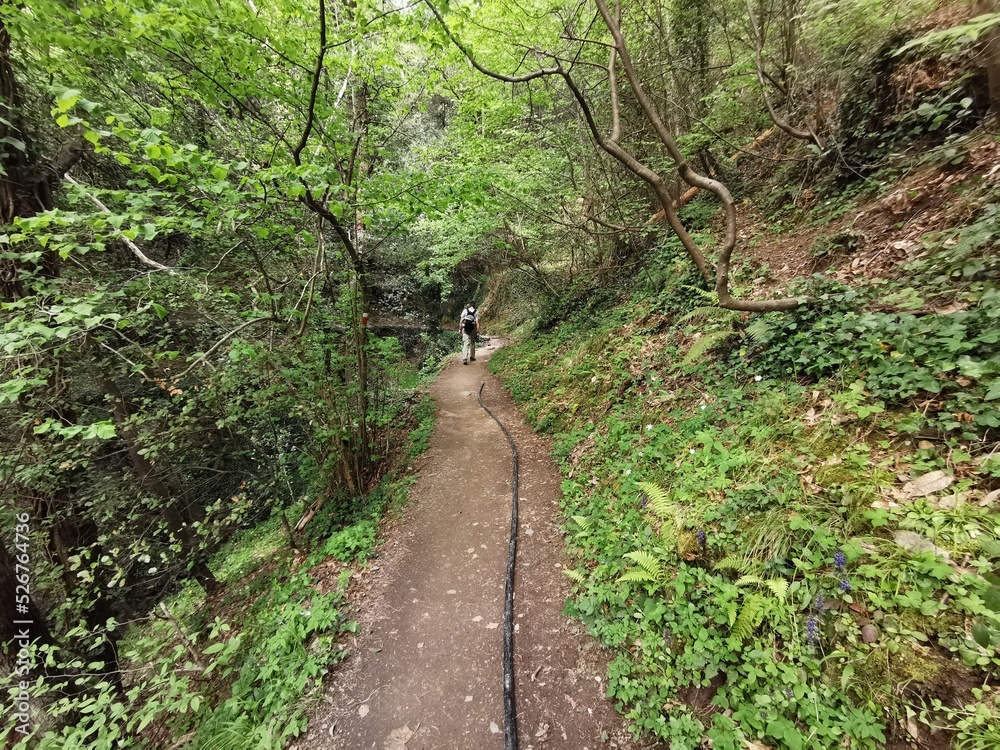 Cinque Terre National Park. Trekking the hiking trail above the Cinque ...