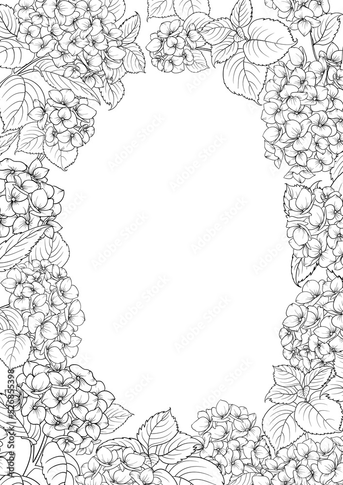 PNG floral frame. Hydrangeas floral design Stock Illustration | Adobe Stock