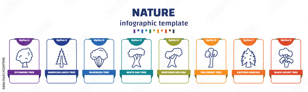 infographic template with icons and 8 options or steps. infographic for ...