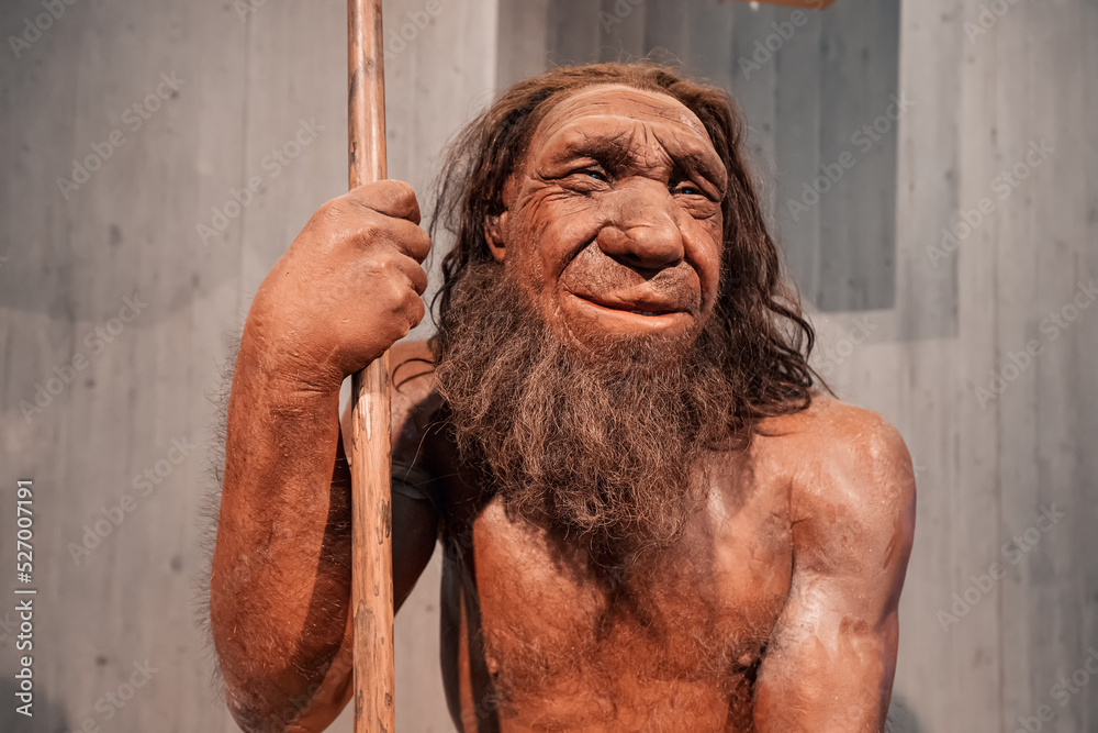 Foto de Stock 22 July 2022, Neanderthal museum, Germany: Detailed wax ...