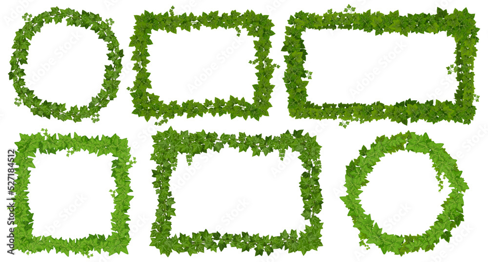 Image vectorielle Stock Ivy frames, green leaves on lianas and jungle ...