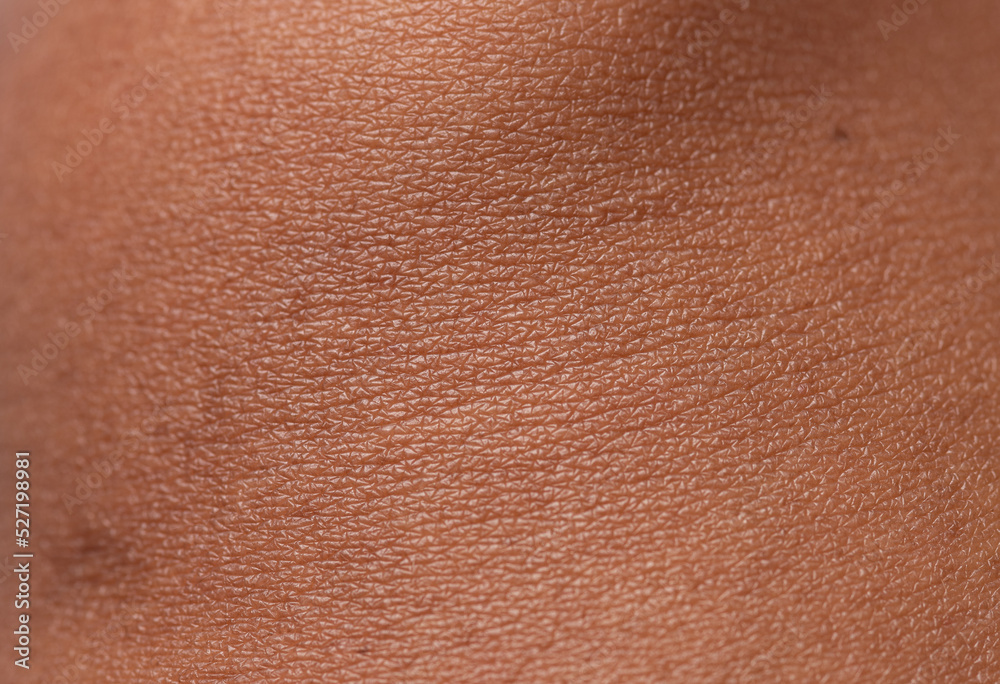 Human skin texture background,brown skin Stock Photo | Adobe Stock