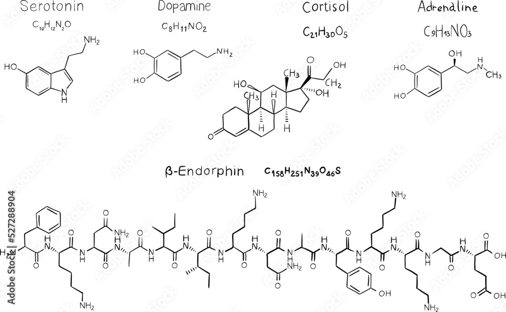 Detailed set featuring the chemical formulae of essential ...