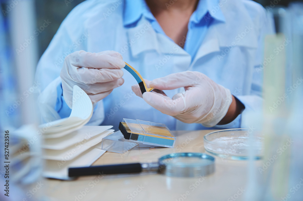 Cropped view of a scientist in lab coat and protective medical gloves ...