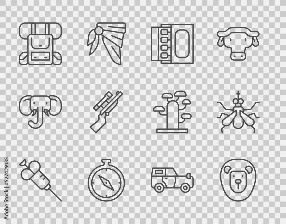 Set line Syringe, Wild lion, Matchbox and matches, Compass, Hiking ...