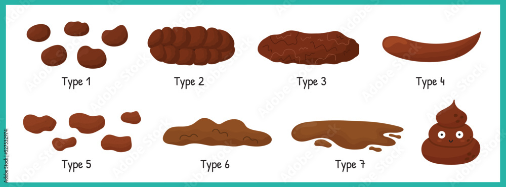 Bristol stool set with different types of poo. Human feces collection ...