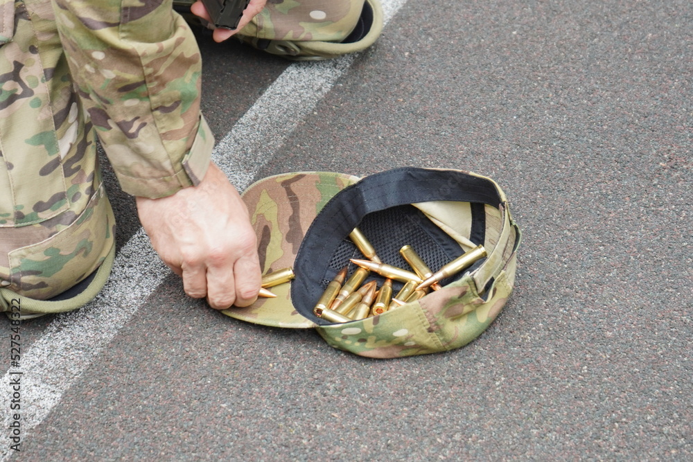 Stock-Foto „Poltava-Kharkiv region, Ukraine - August 2022: Ukrainian ...
