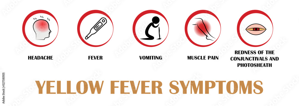 Yellow fever symptoms, Pictograms with names of individual symptoms ...